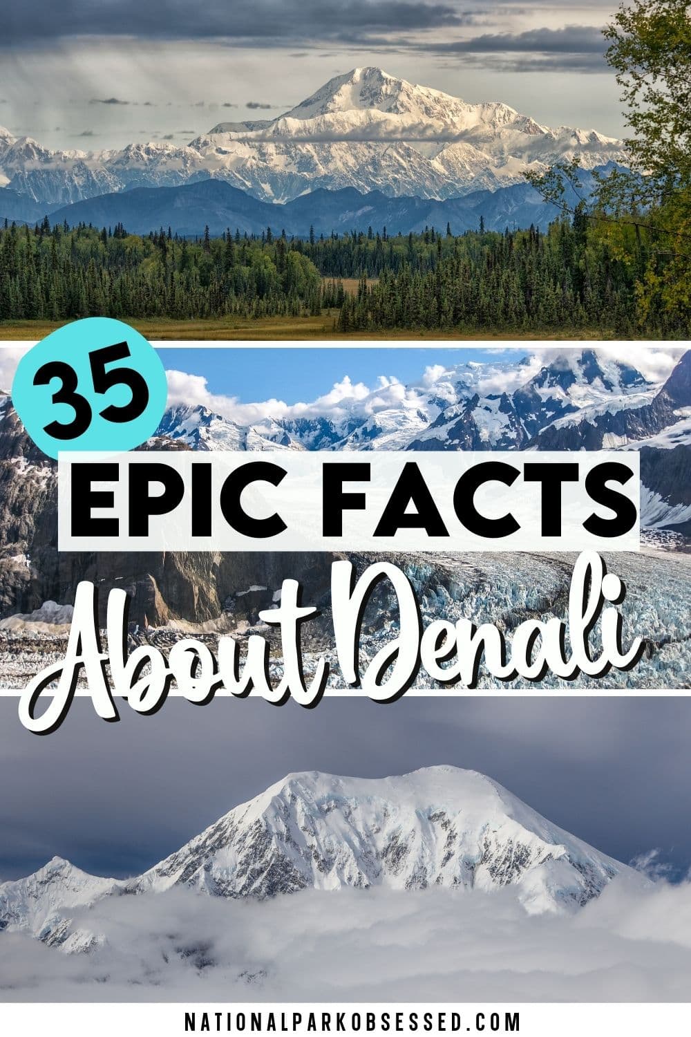 35+ Extraordinary Denali Facts & Statistics - National Park Obsessed