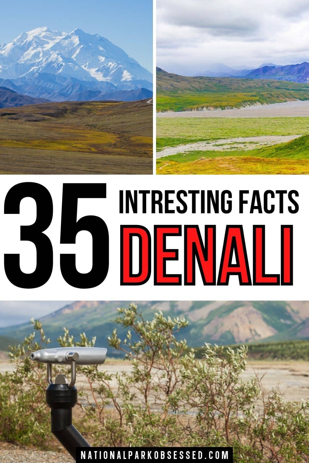35+ Extraordinary Denali Facts & Statistics - National Park Obsessed