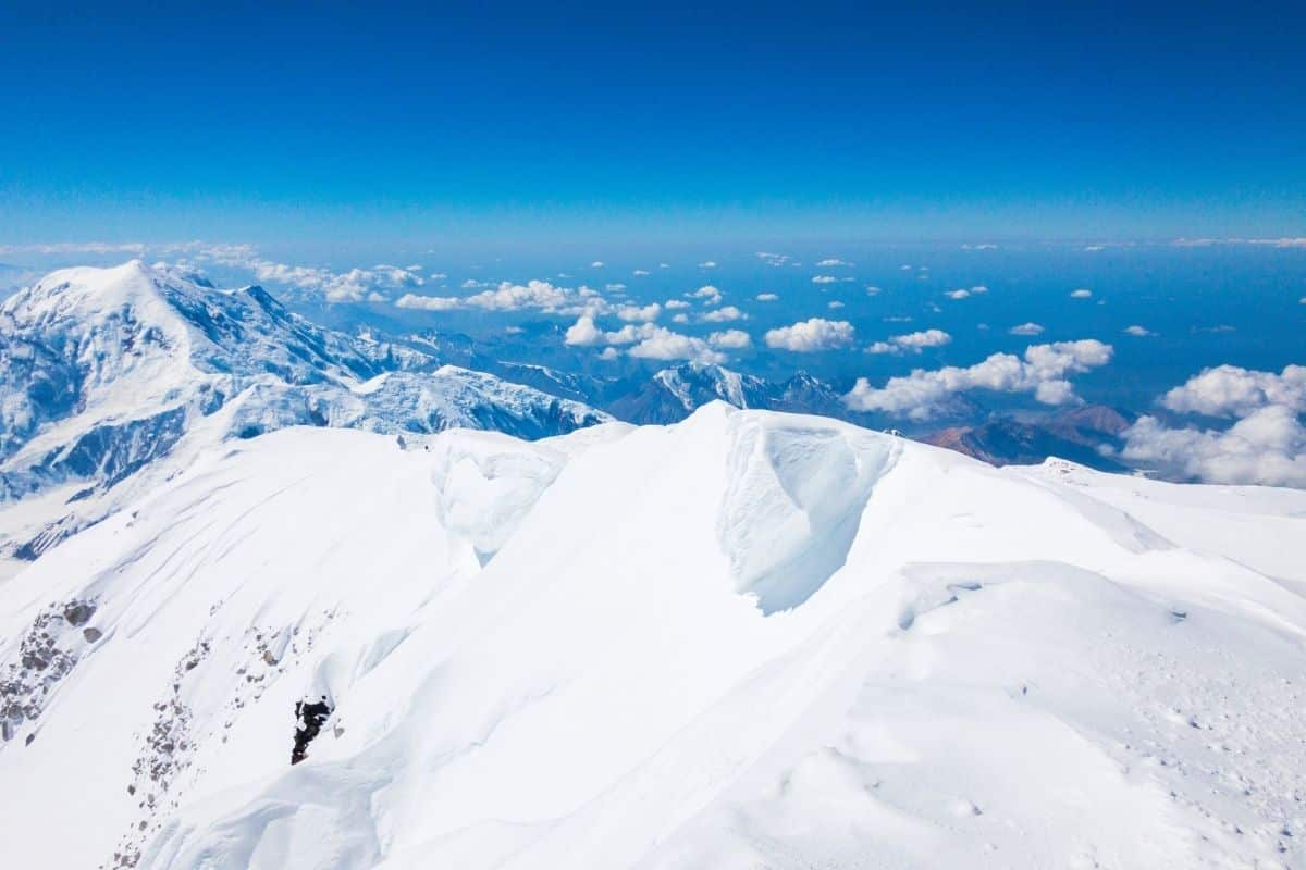 35+ Extraordinary Denali Facts & Statistics - National Park Obsessed