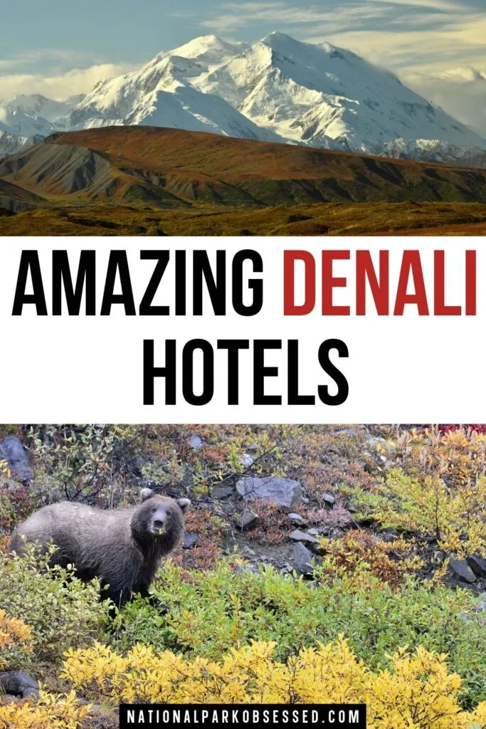 Where To Stay In Denali National Park? 14 Best Denali Hotels - National ...