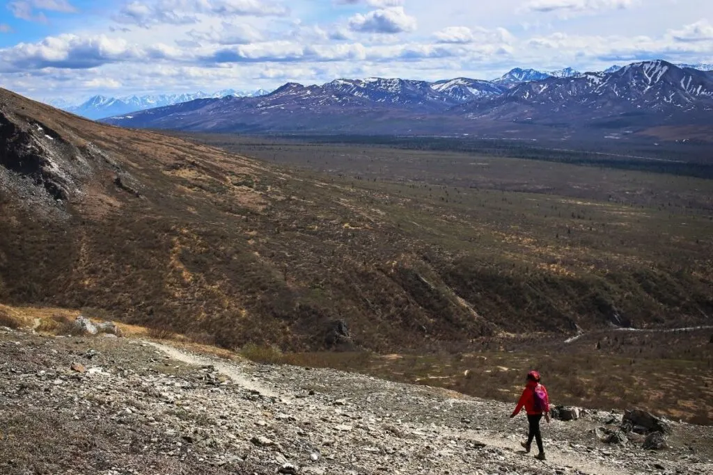 The 20 ABSOLUTE Best Hikes In Denali National Park For 2023 - National ...