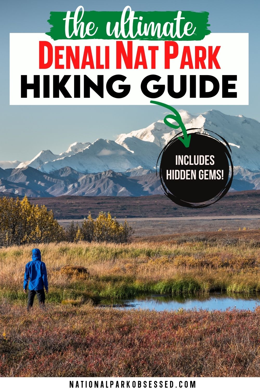 The 19 ABSOLUTE Best Hikes In Denali National Park For 2026 - National ...