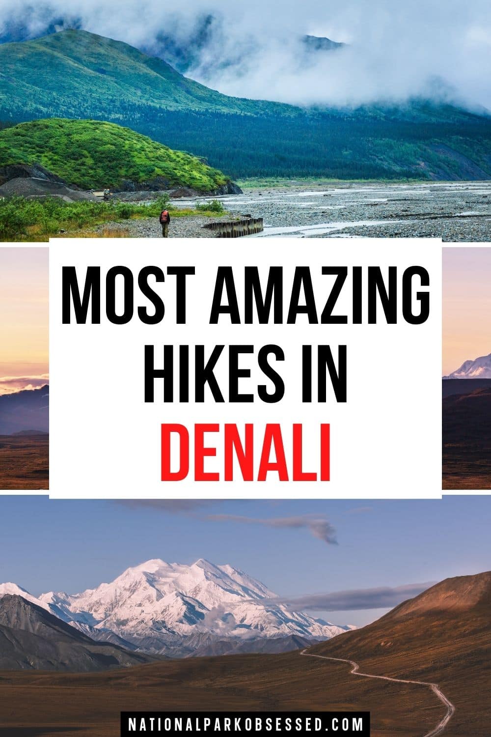 The 19 ABSOLUTE Best Hikes In Denali National Park For 2024 - National ...