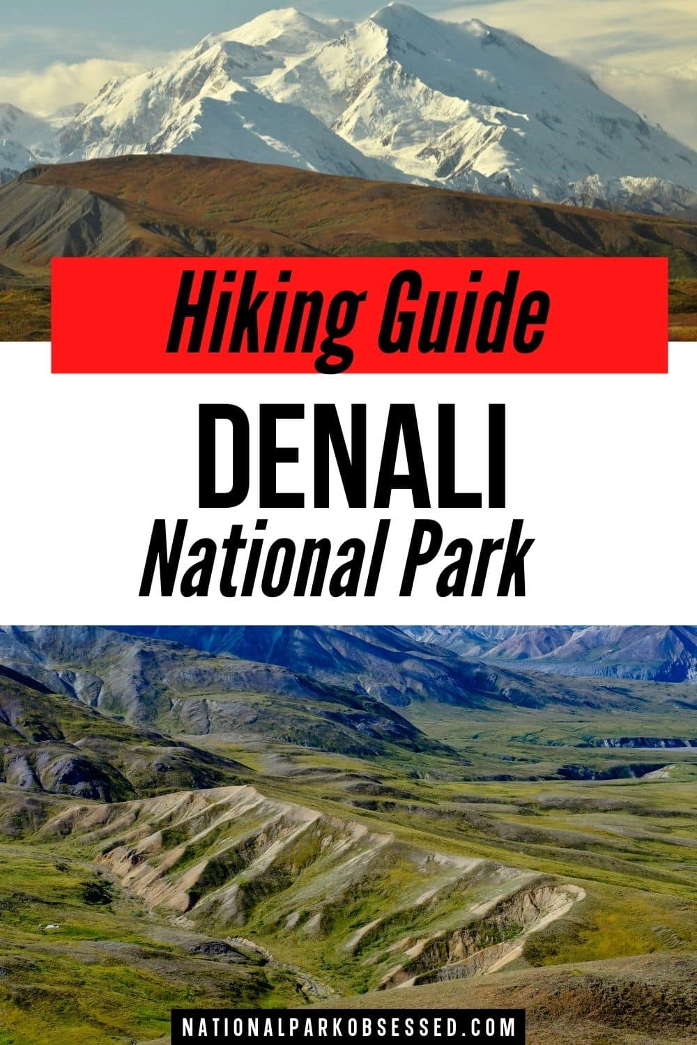 The 19 ABSOLUTE Best Hikes In Denali National Park For 2024 - National ...
