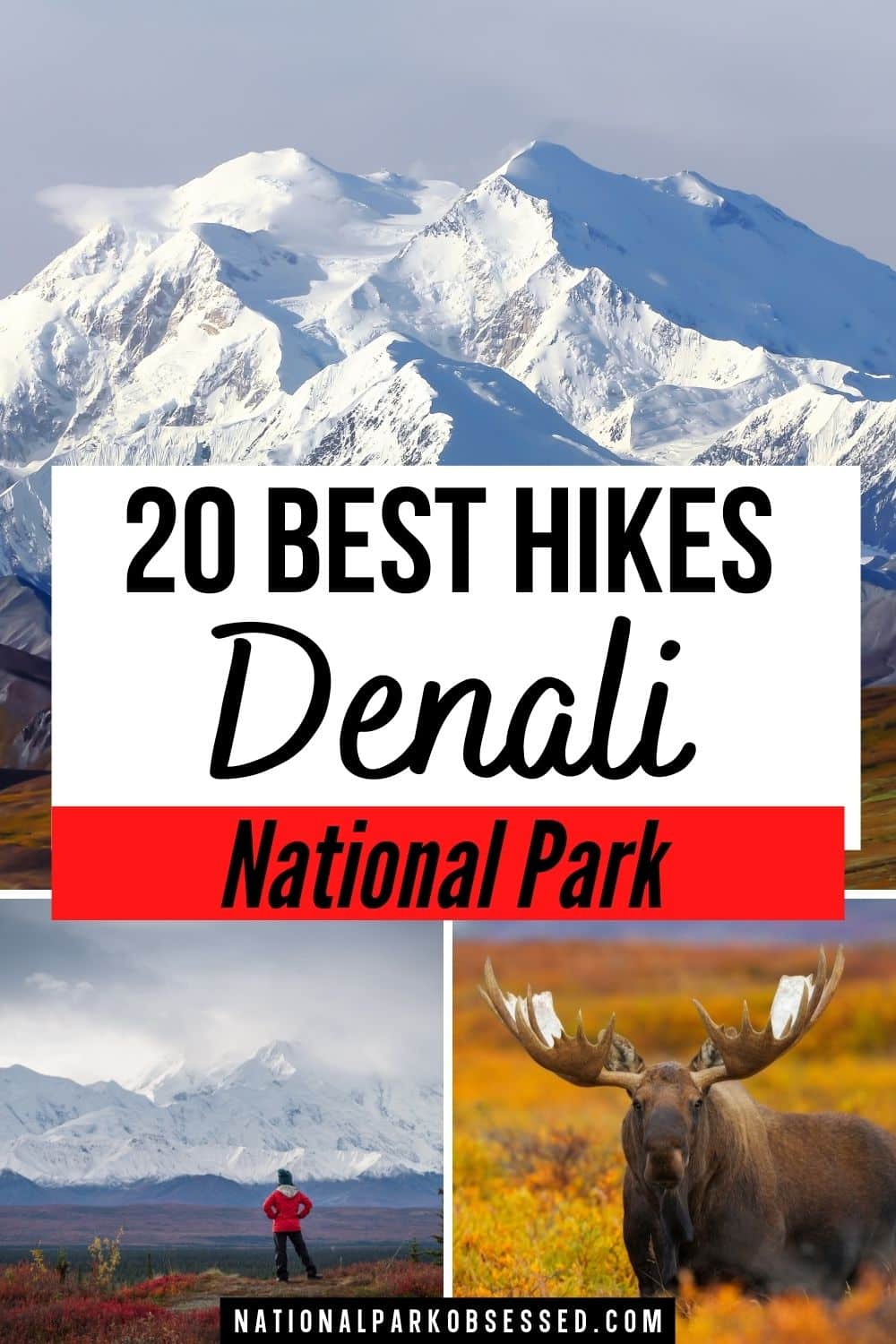 The 19 ABSOLUTE Best Hikes In Denali National Park For 2024 - National ...