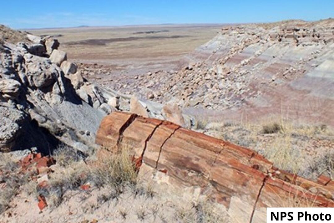 15 ABSOLUTE Best Hikes In Petrified Forest National Park For 2022 ...