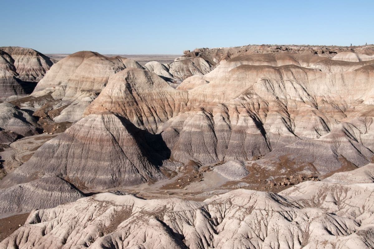 Visiting Petrified Forest National Park: The Complete Guide For 2024 ...