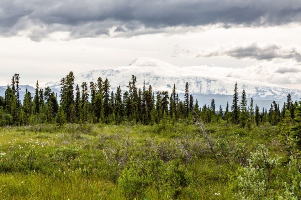 13 ABSOLUTE Best Hikes In Wrangell - St. Elias National Park - National ...