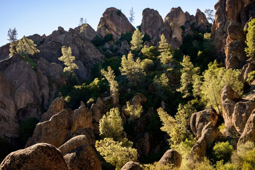 14 ABSOLUTE Best Pinnacles Hiking Trails For 2022 - National Park Obsessed