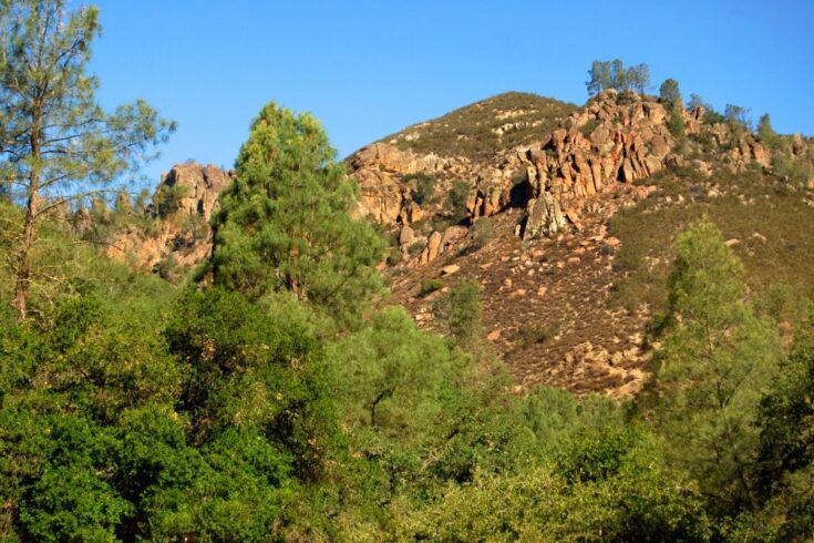 14 ABSOLUTE Best Pinnacles Hiking Trails For 2022 - National Park Obsessed