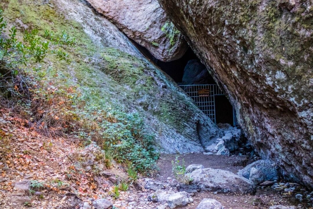 14 ABSOLUTE Best Pinnacles Hiking Trails For 2022 - National Park Obsessed