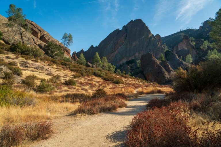 14 ABSOLUTE Best Pinnacles Hiking Trails For 2022 - National Park Obsessed