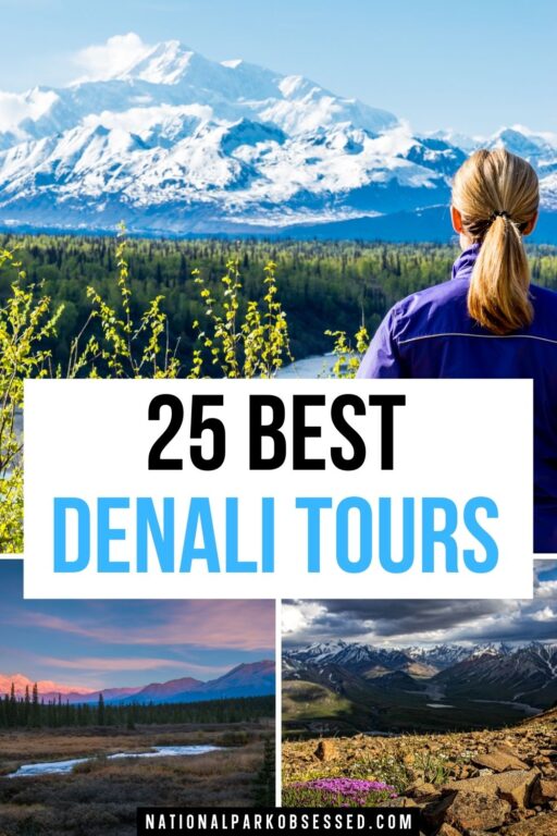 25 AMAZING Denali National Park Tours For 2023 - National Park Obsessed