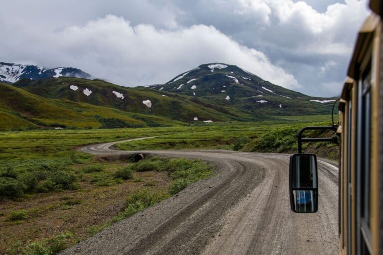 25 AMAZING Denali National Park Tours For 2026 - National Park Obsessed