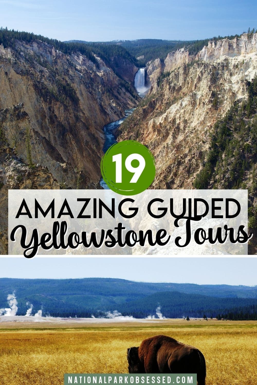 18 ABSOLUTELY Best Yellowstone Tours For 2024 - National Park Obsessed