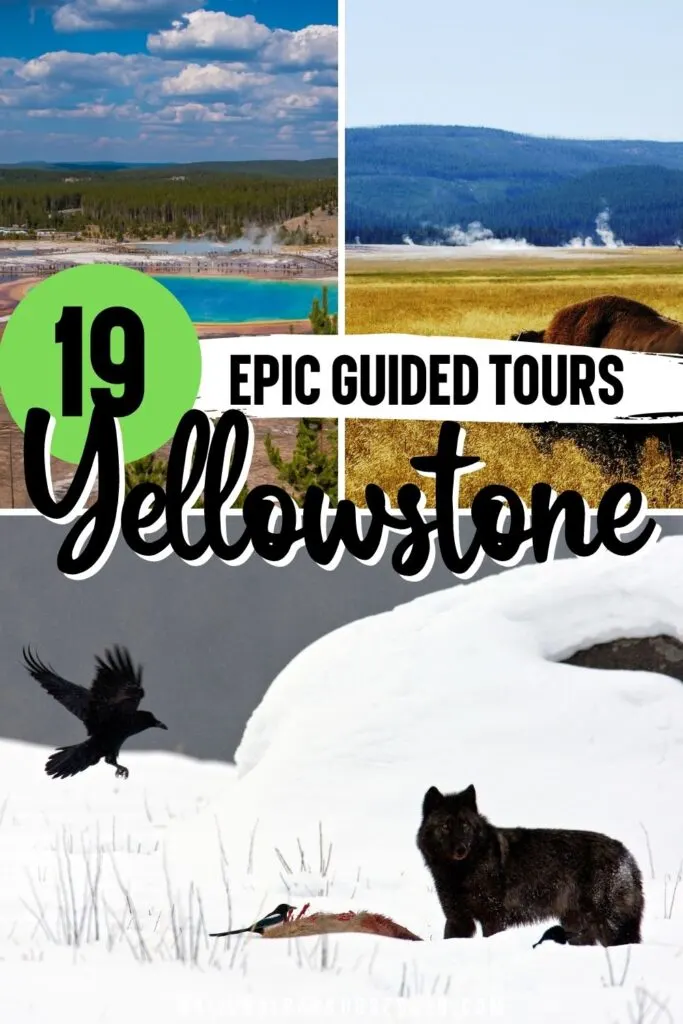 18 ABSOLUTELY Best Yellowstone Tours For 2022 - National Park Obsessed