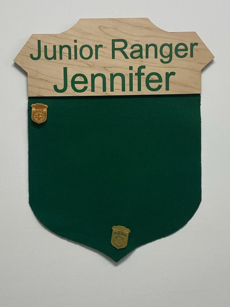 Junior Ranger Badges Kids Can Earn At Home - National Park Obsessed
