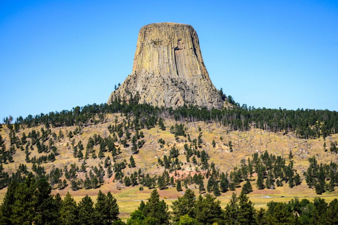 Devils Tower Camping: How To Camp At Devils Tower National Monument In ...