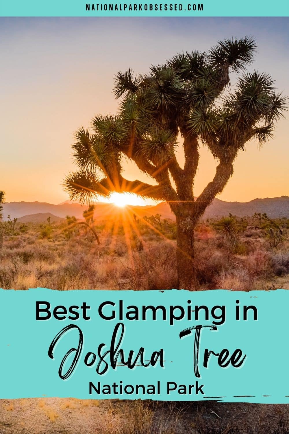 Joshua Tree Glamping: 16 Best Glamping In Joshua Tree National Park In ...