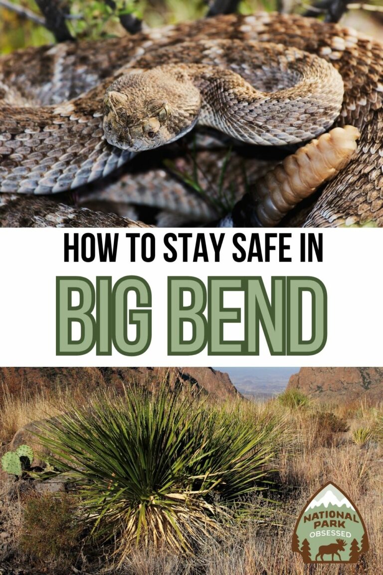 Is Big Bend National Park Safe? (2024 Update) - National Park Obsessed
