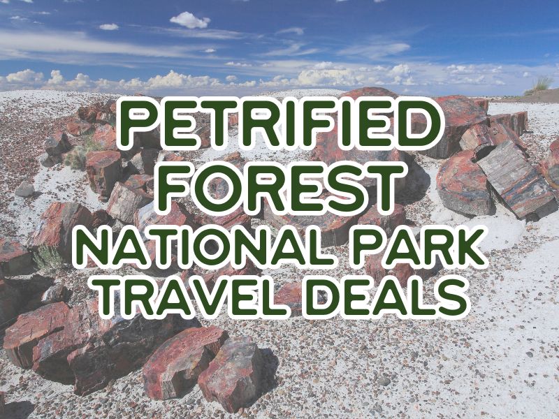 Petrified Forest National Park Travel Deals - National Park Obsessed