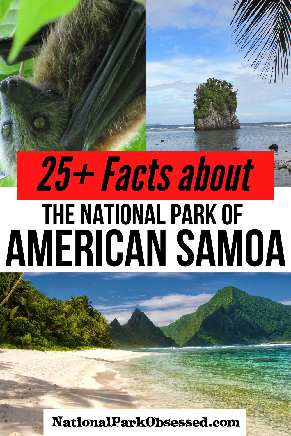 25+ Astonishing National Park Of American Samoa Facts & Statistics ...