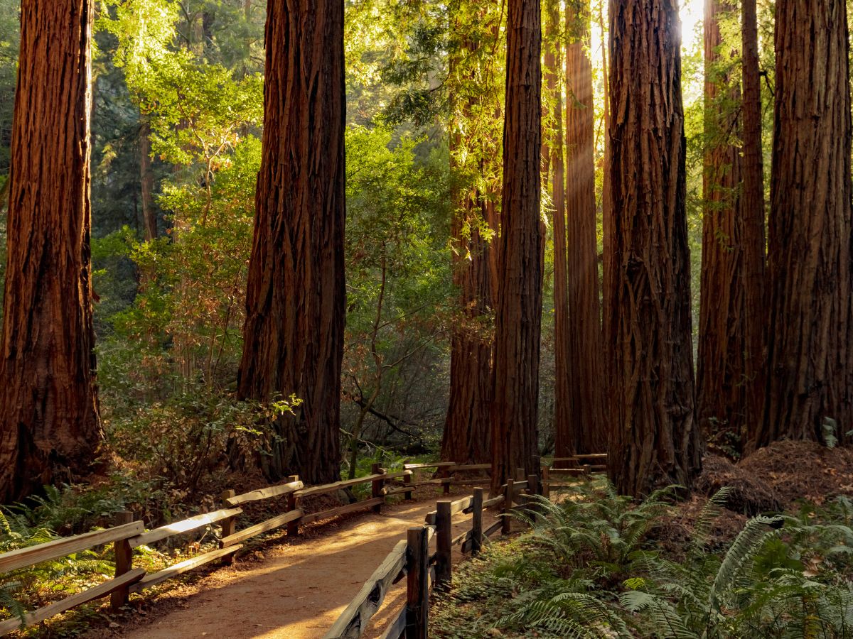 2025 US National Monuments List & Map (+ Downloadable Checklist ...